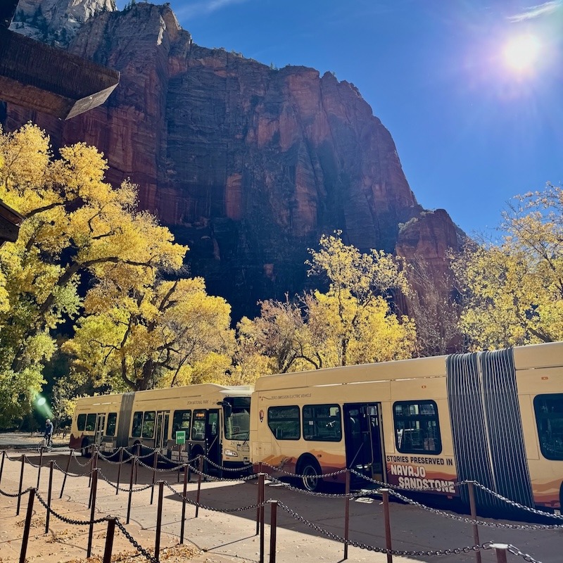 One Day in Zion National Park for RV Travelers